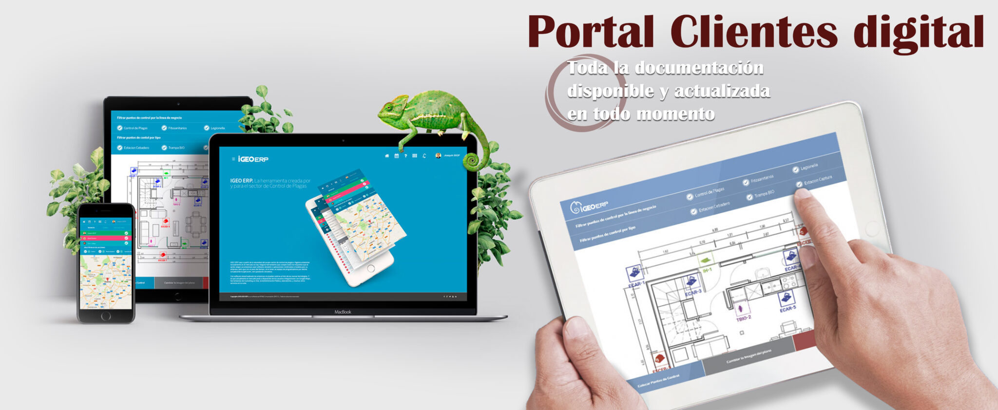 Portal Clientes – Denor SL